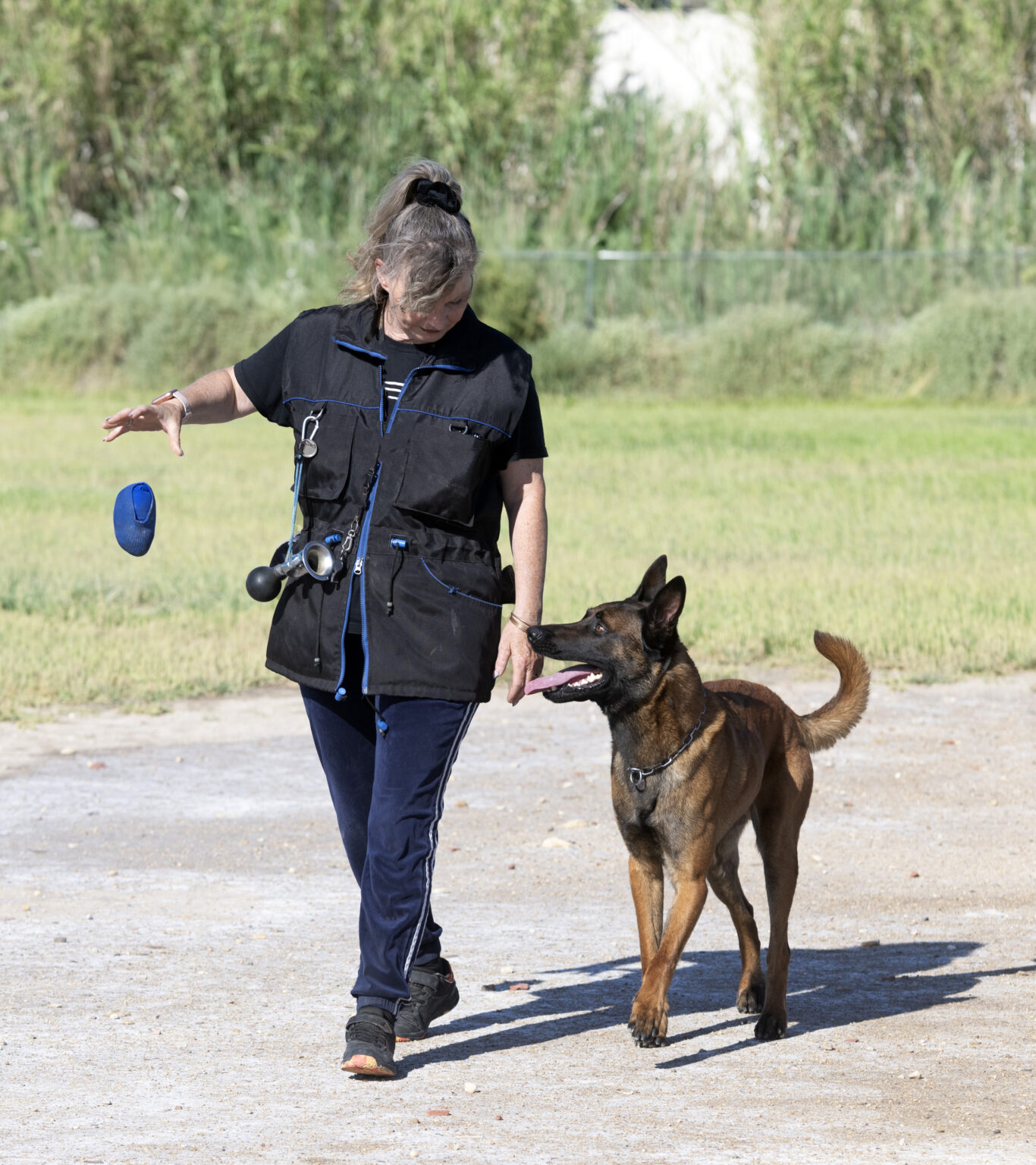 Dog Behaviorists: Understanding Dog Behavior Experts and Their Role in ...